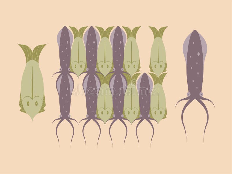 Loopablevector Van Pijlinktvis En Vissenmoduleselement Voor ...