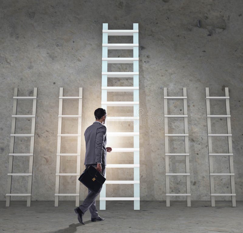 Loopbaanprogressie Met Verschillende Ladders Stock Afbeelding - Image ...