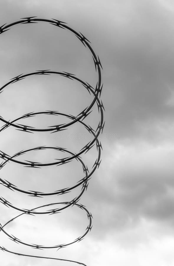 Looped Barbed Wire in a Row Stock Photo - Image of gray, security: 33993200