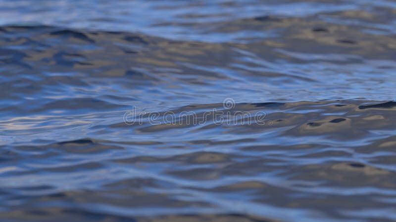Calm Water Wavy Surface. Animation of Wave Motion on Sea or Ocean ...
