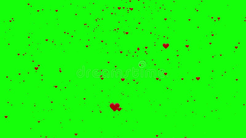 Looping Animation of Falling Hearts on a Green Background Stock Footage ...