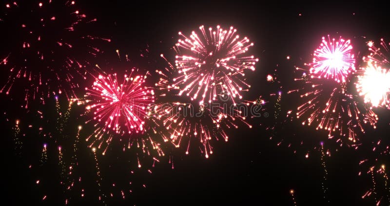 Looping Animation of Fireworks Display on Black Background Stock ...