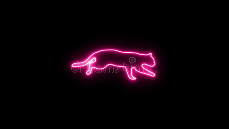A Looping Animation of a Neon Outline Cat. Stock Video - Video of ...