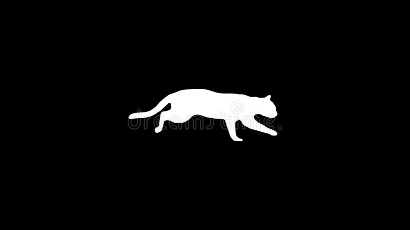 A Looping Animation of a Neon Outline Cat. Stock Video - Video of green ...