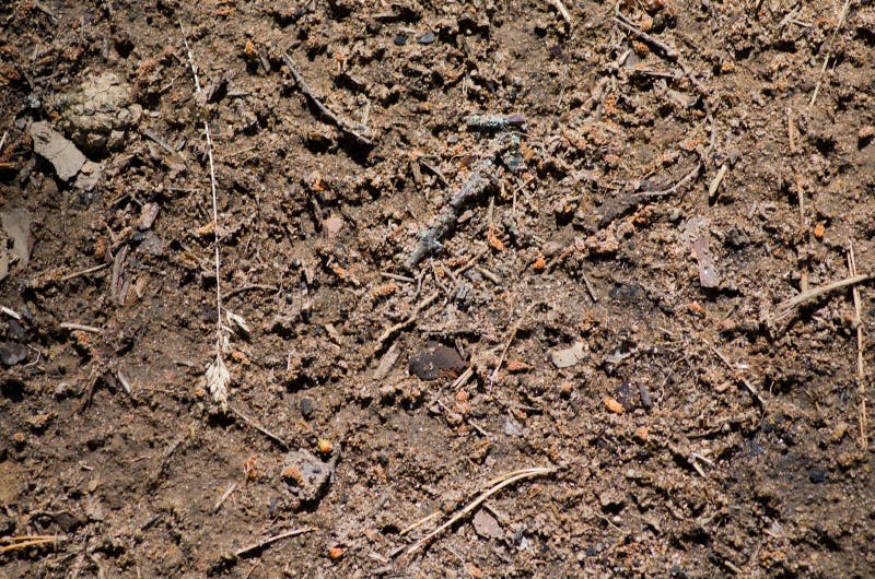 1,100 Loose Earth Photos - Free & Royalty-Free Stock Photos from Dreamstime
