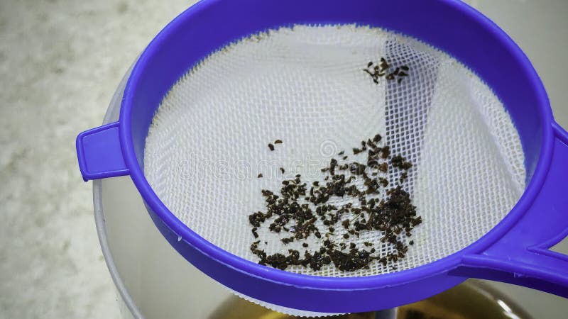 Blue Plastic Tea Strainer Stock Photos - Free & Royalty-Free Stock ...