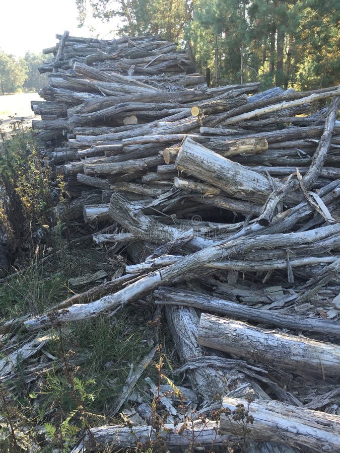 Loose pile of wood stock photo. Image of marked, natural - 66308400