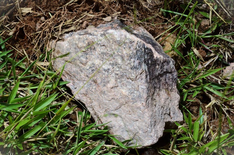 Loose Rock among the Grass in the Field Stock Photo - Image of grave ...