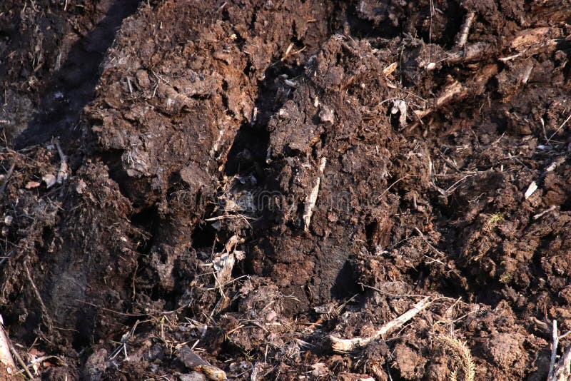 Loose Soil Texture. Dirt Backdrop Stock Photo - Image of texture ...