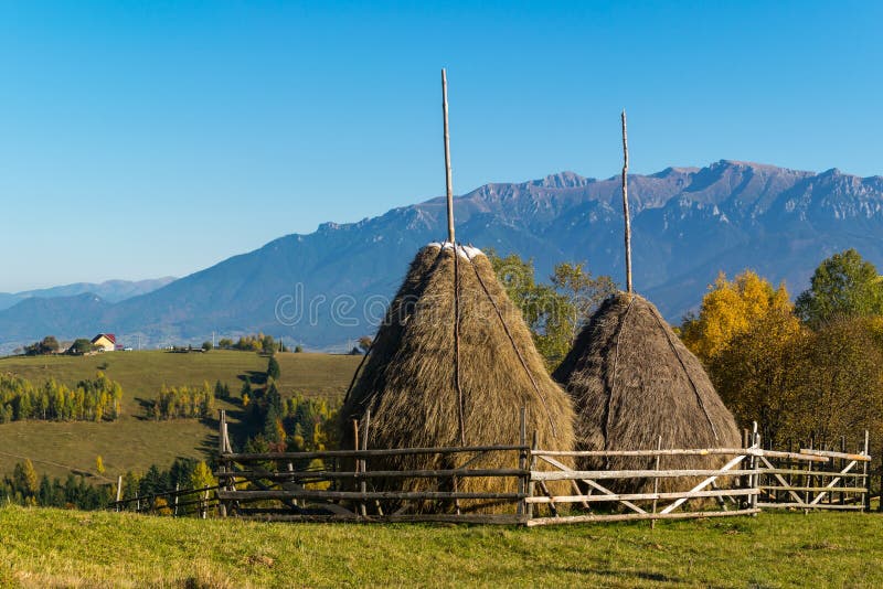 Loose Stacked Hay in Romania Stock Photo - Image of nature, agriculture ...