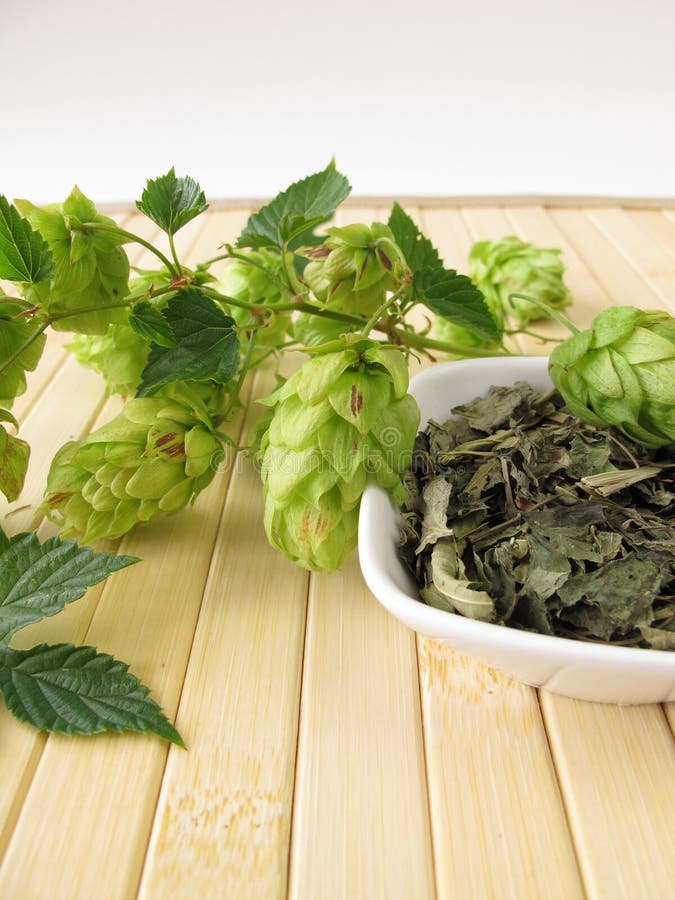 Loose tea with hops stock image. Image of herbs, mixture - 28759867