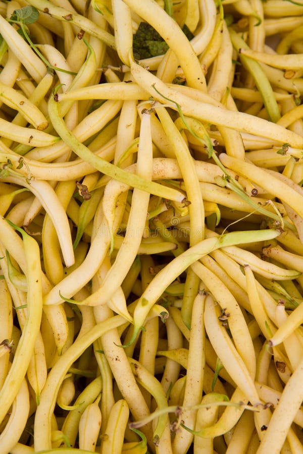 Loose wax beans stock photo. Image of ripe, vegetable - 20994556
