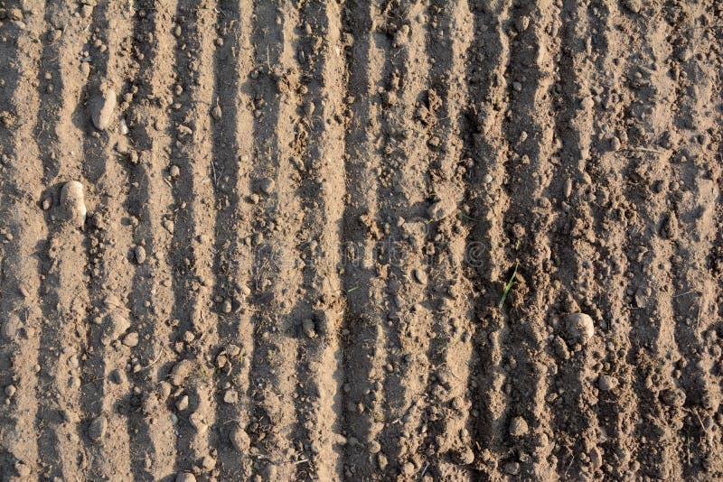 Loosened soil texture stock photo. Image of earth, land - 70815582