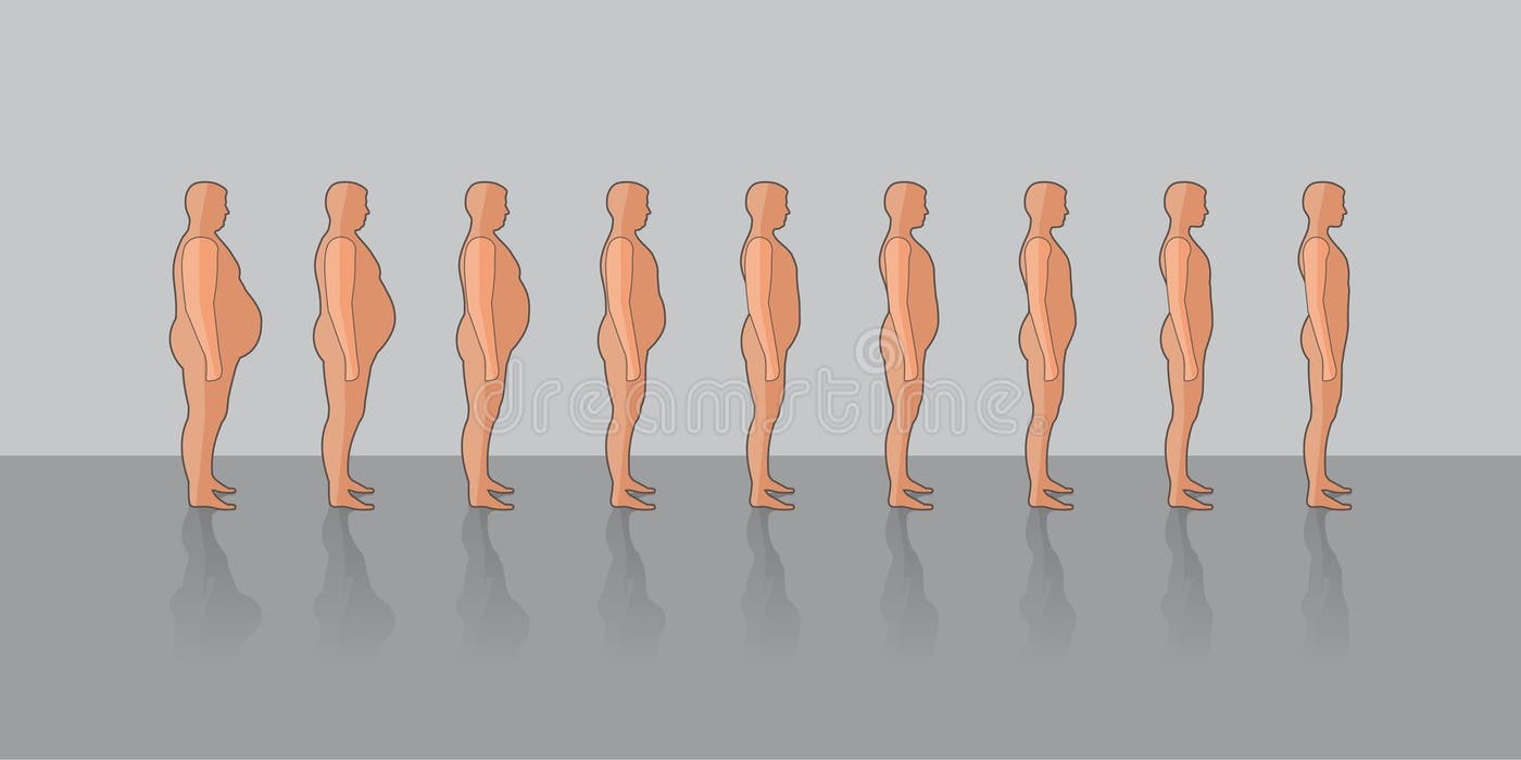 Obesity Evolution Stock Illustrations – 263 Obesity Evolution Stock ...