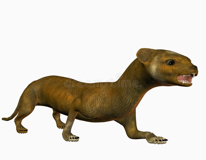 Lopende Wezel stock illustratie. Illustration of illustratie - 28524732