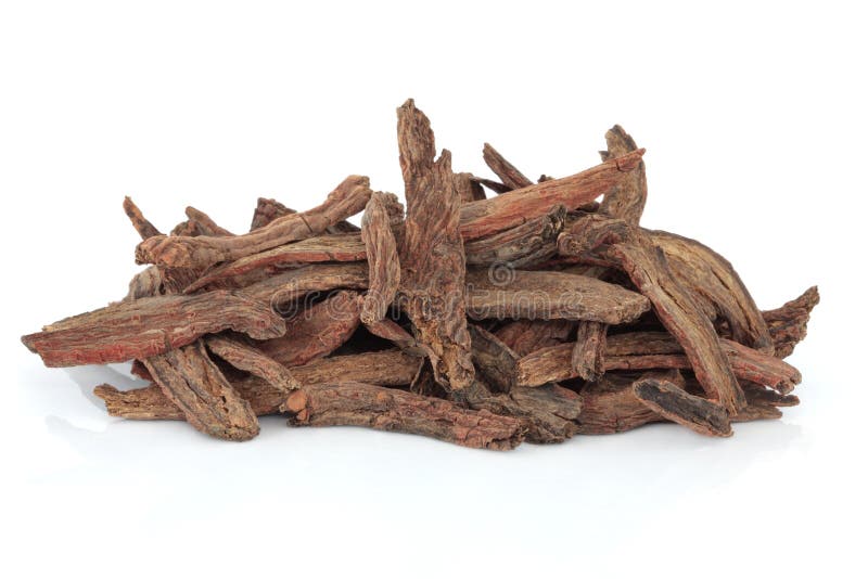 Radix Codonopsitis Pilo Stock Photos - Free & Royalty-Free Stock Photos ...