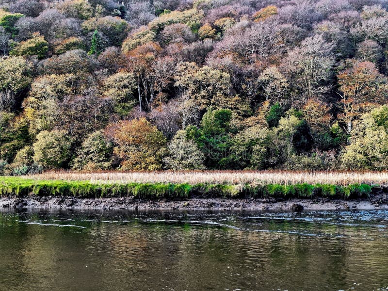 Lopwell Dam, River Tavy , Devon Stock Image - Image of rivertavy ...