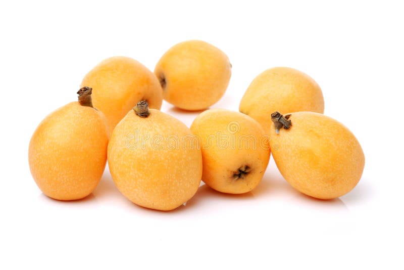 Loquat fruit stock photo. Image of single, loquat, healthy - 107892634
