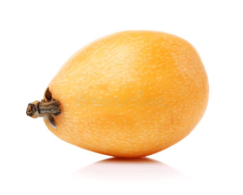 Loquat fruit stock image. Image of edible, medlar, fresh - 33564549