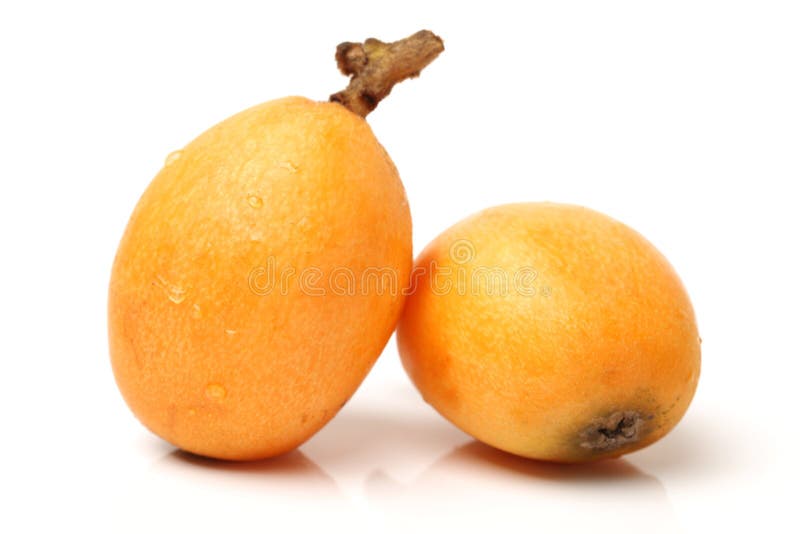 Loquat fruit stock image. Image of edible, medlar, fresh - 33564549