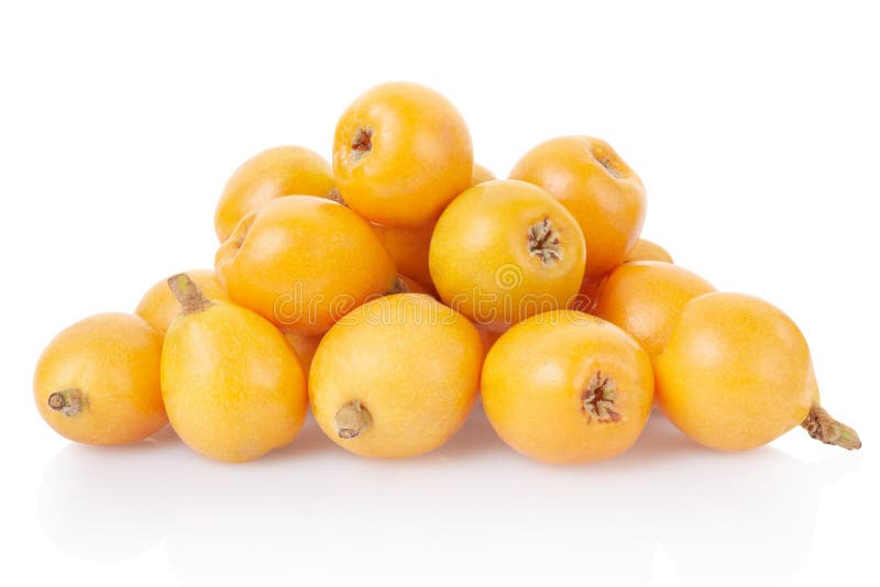 Loquat stock image. Image of loquat, health, fresh, fruit - 30883879