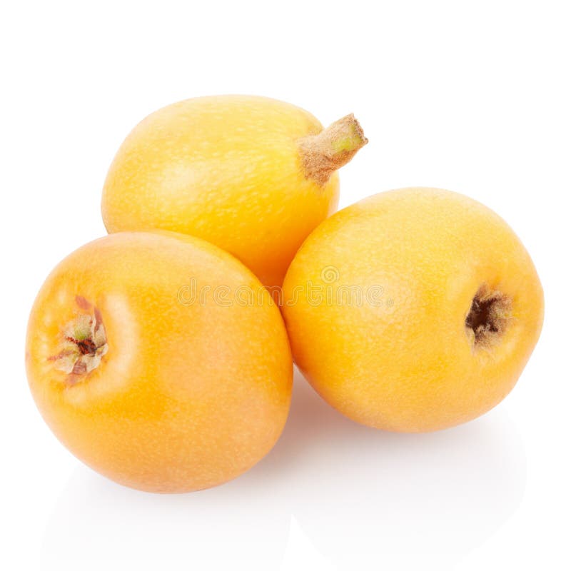 Loquat stock image. Image of loquat, health, fresh, fruit - 30883879