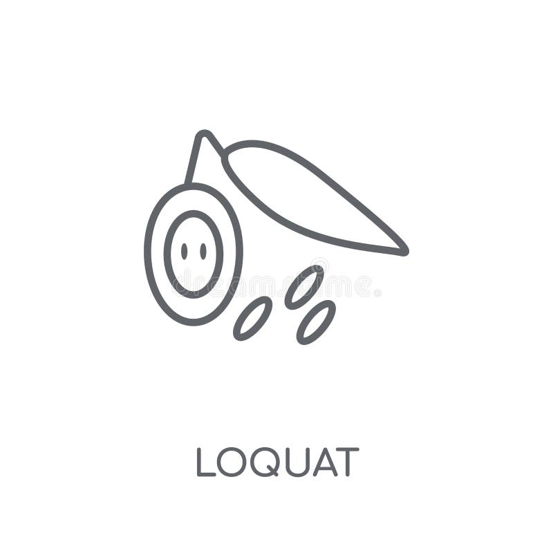 Loquat Icon Stock Illustrations – 593 Loquat Icon Stock Illustrations ...