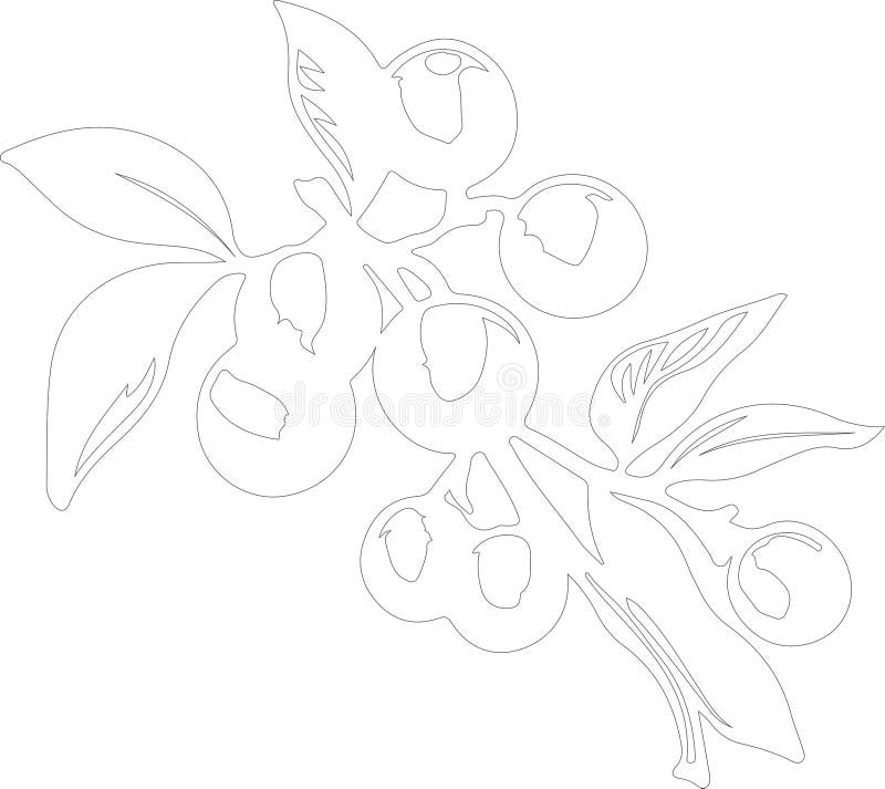 Loquat Outline Silhouette Generative Ai Stock Vector - Illustration of ...