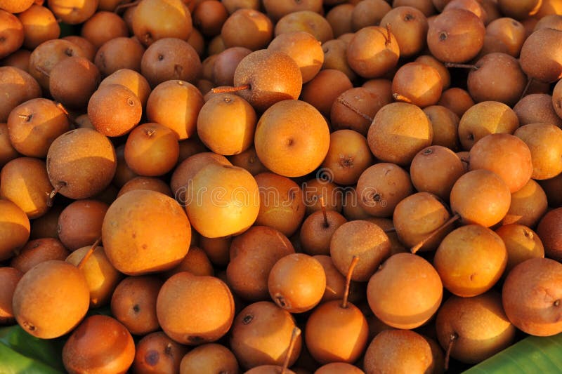 Loquats stock image. Image of food, juicy, brown, freshness - 12289363