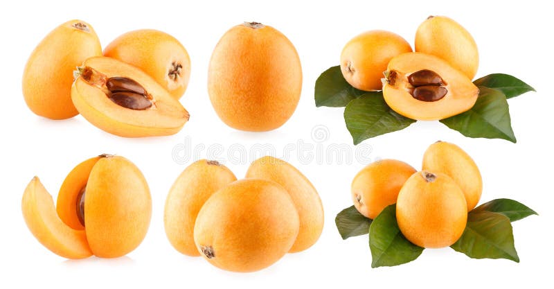 Loquats stock image. Image of natural, eating, organic - 132197785