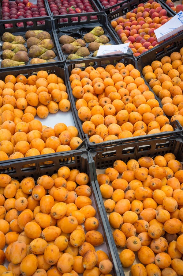 Loquats stock image. Image of ripe, fresh, medlar, retail - 40979935
