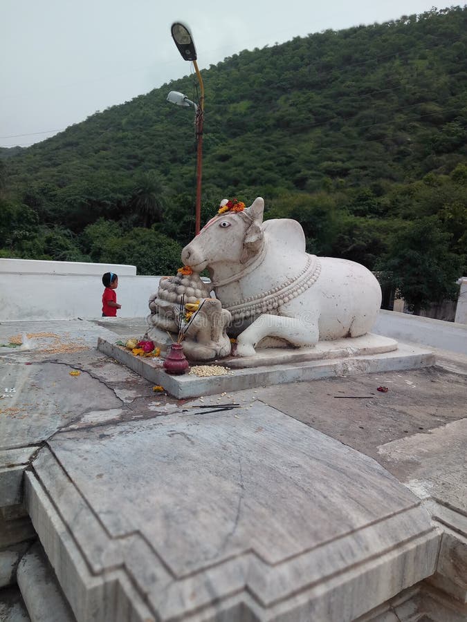 Lord ox editorial stock image. Image of shiva, lord - 122496819