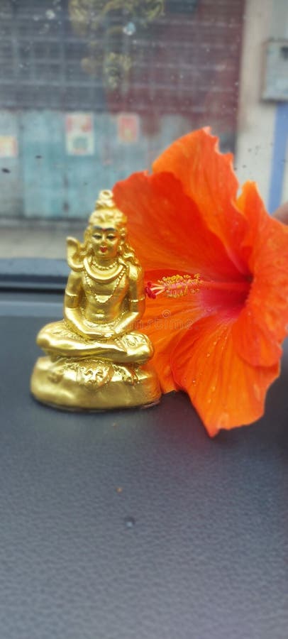 Lord Shiva Gold flower god stock image. Image of lord - 367661927