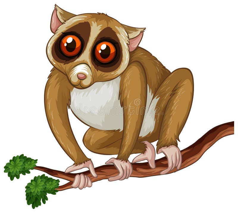 Loris stock vector. Illustration of fluffy, domestic - 48932699