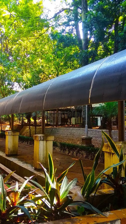 Lorong Kampus UNPAD Bandung Indonesia Stock Photo - Image of unpad ...