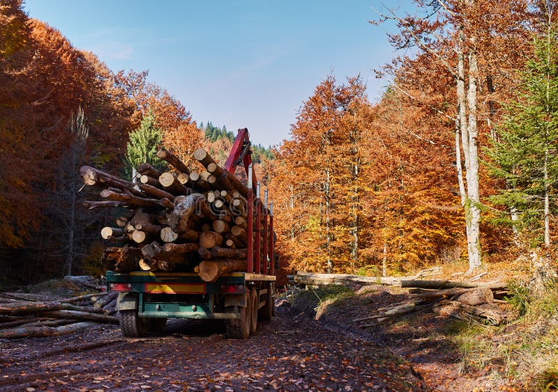 Lorry Transporting Wood Cut Stock Image - Image of machine, timber ...