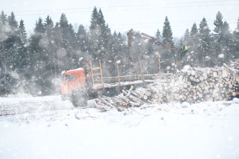 A Lorry Transports Log in the Back. Timber Truck Stock Photo - Image of ...
