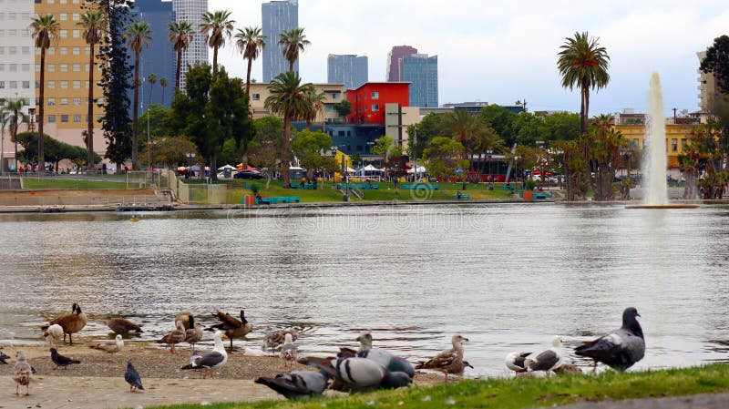 Los Angeles, California: View of MacArthur Park Editorial Photo - Image ...