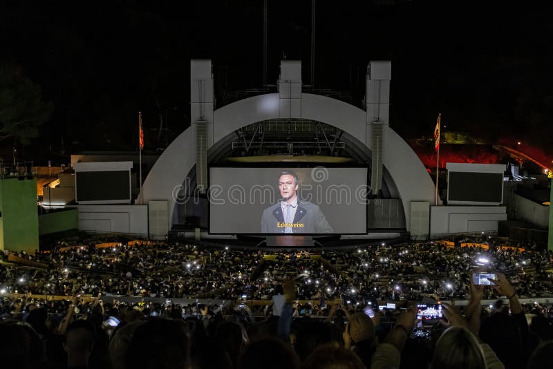 Night View of the Sing Alone, Song of Music Event Editorial Stock Image ...