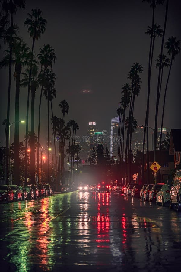 Los Angeles in the Rain at Night Stock Image - Image of night, palm ...