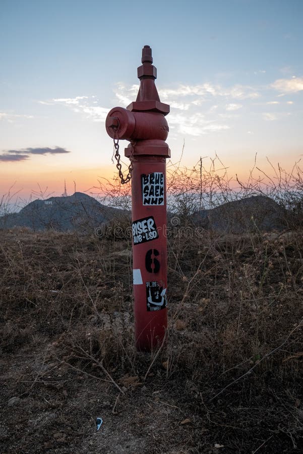 LOS ANGELES, USA - JUNE 28, 2016: View of a Fire Hydrant with Los ...