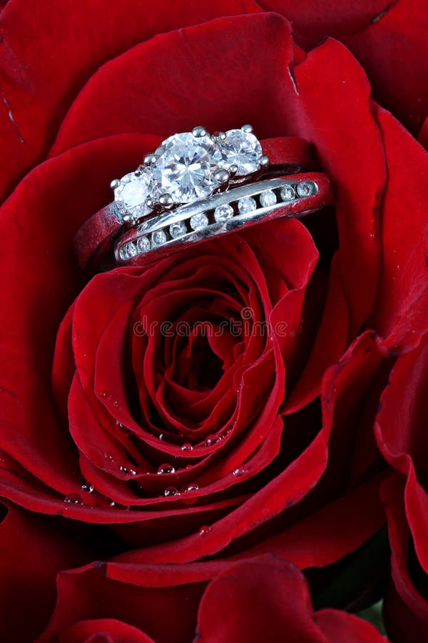 Los Anillos De Bodas En Rojo Se Levantaron Imagen de archivo - Imagen ...