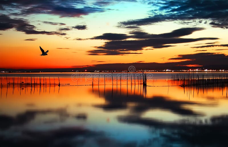 Los colores de la noche foto de archivo. Imagen de vacaciones - 12506936