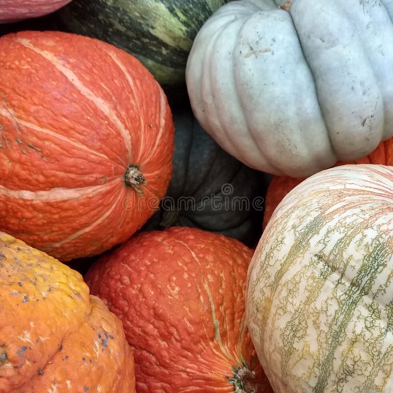 Los Colores Del 2 De Octubre Foto de archivo - Imagen de variedad ...