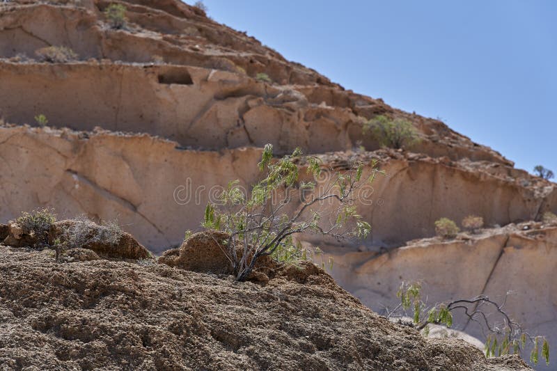 Los Derriscaderos Rugged Ravine Landscape Stock Image - Image of rocky ...