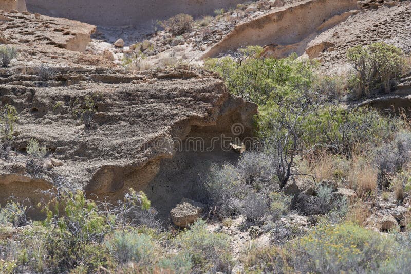 Los Derriscaderos Rugged Ravine Landscape Stock Photo - Image of steppe ...