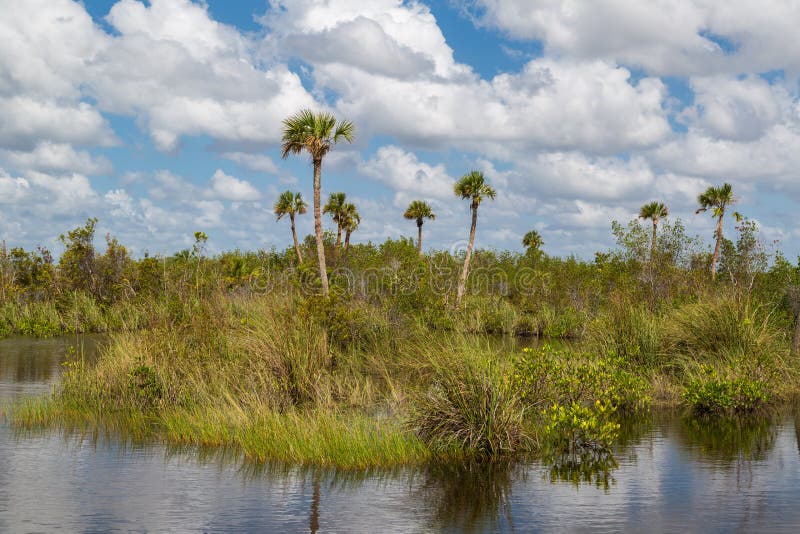 Los marismas imagen de archivo. Imagen de agua, naturalizado - 102078505