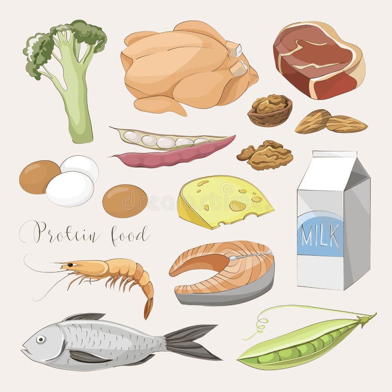 Los Mejores Iconos De La Comida De La Proteína Ilustración del Vector ...