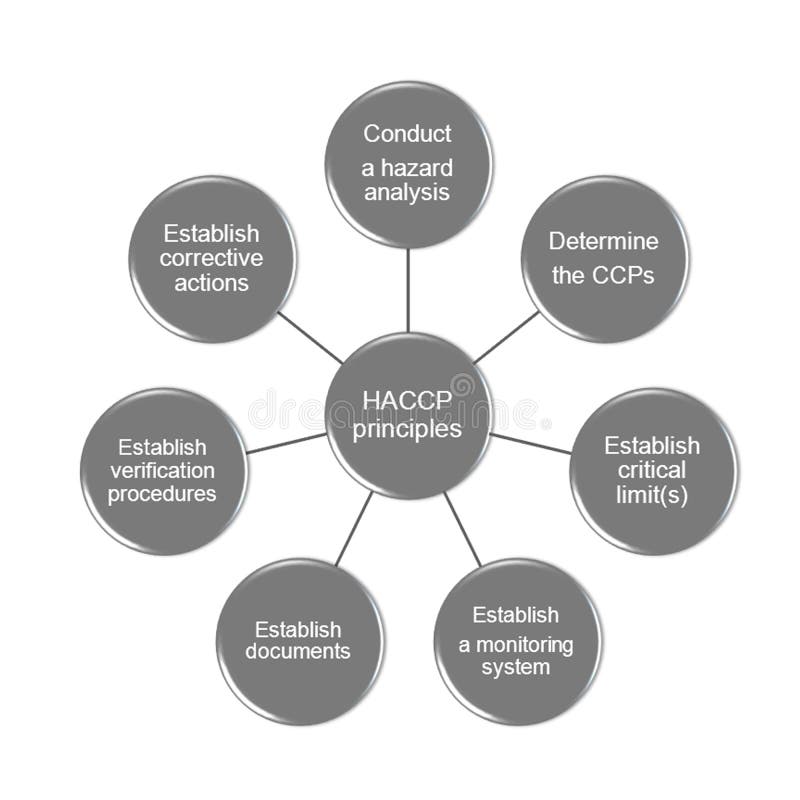 Los 7 principios de HACCP stock de ilustración. Ilustración de gerencia ...