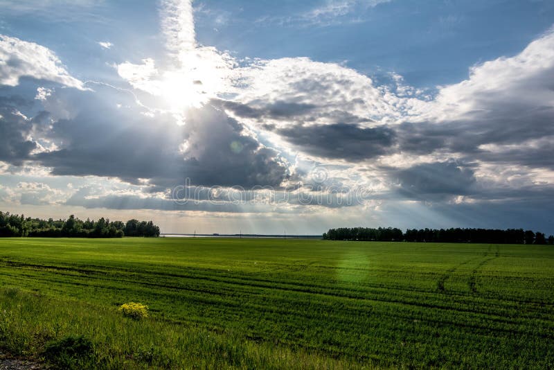 Los Rayos Del ` S Del Sol De Imagen de archivo - Imagen de celaje ...